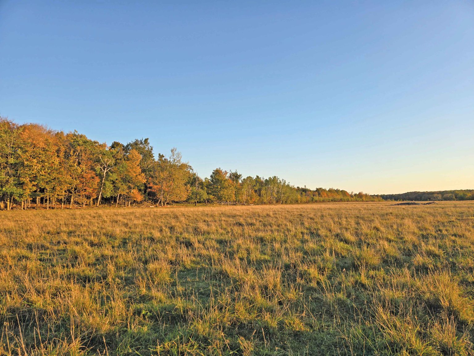 Escarpment Biosphere Conservancy Announces New 100-Acre Wildhaven ...